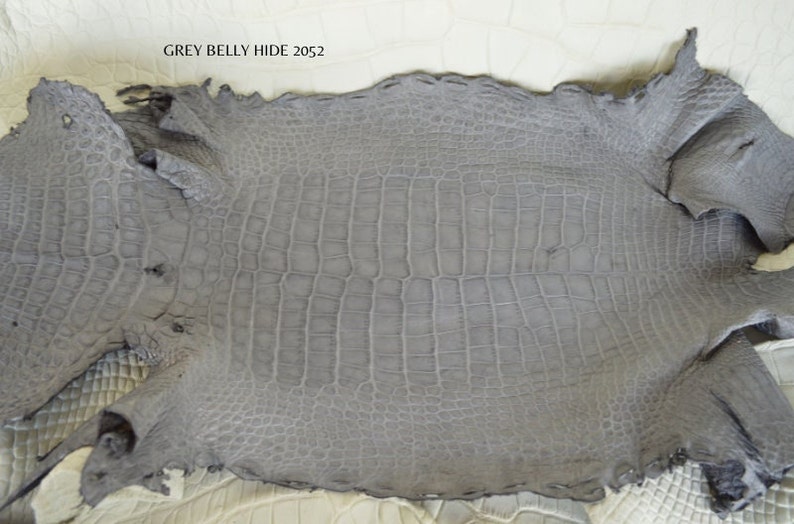 Genuine Wild Caught Alligator Leather Hide - Etsy