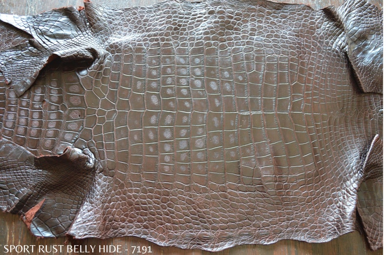Genuine Wild Caught Alligator Leather Hide - Etsy