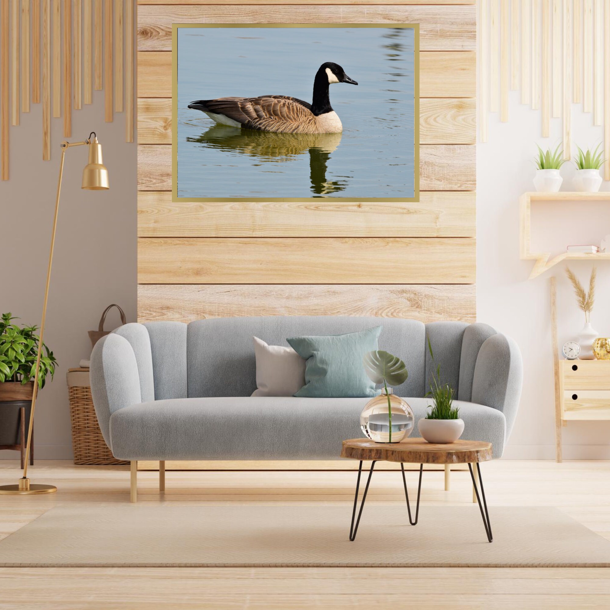 Canada Goose Print Goose in Water Beautiful Large Birds Wildlife ...