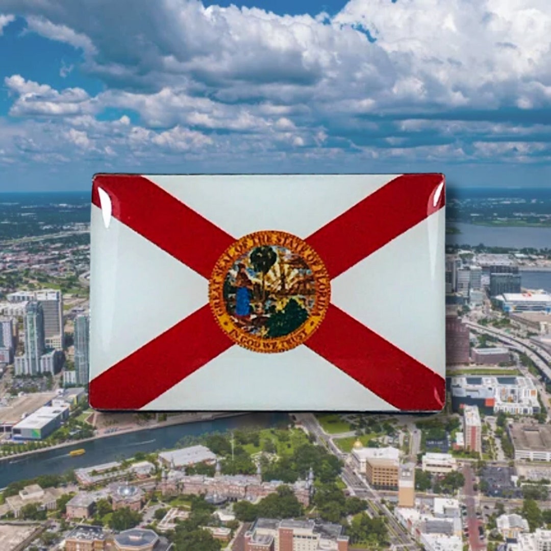 Florida State Flag Pin USA Florida Cute Pins Lapel Pins - Etsy