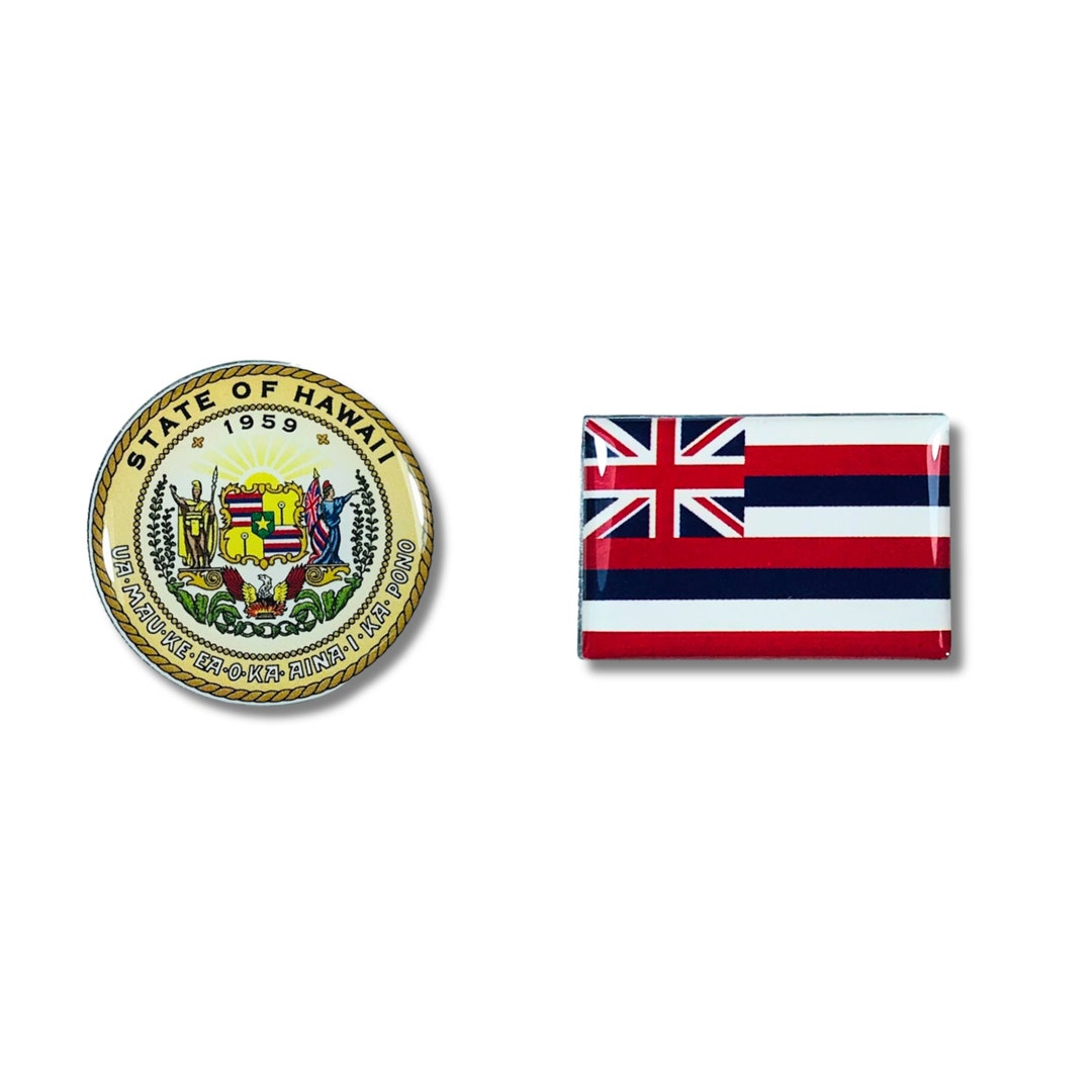 Hawaii Pin, State Seal and Flags, Worldwide Souvenirs, Enamel Pins ...