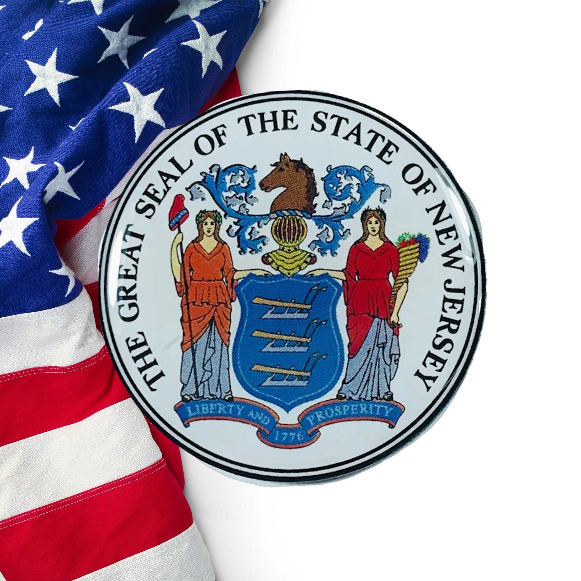 New Jersey Seal, State Seal, New Jersey Enamel Pin, Seal Emblem Pin ...