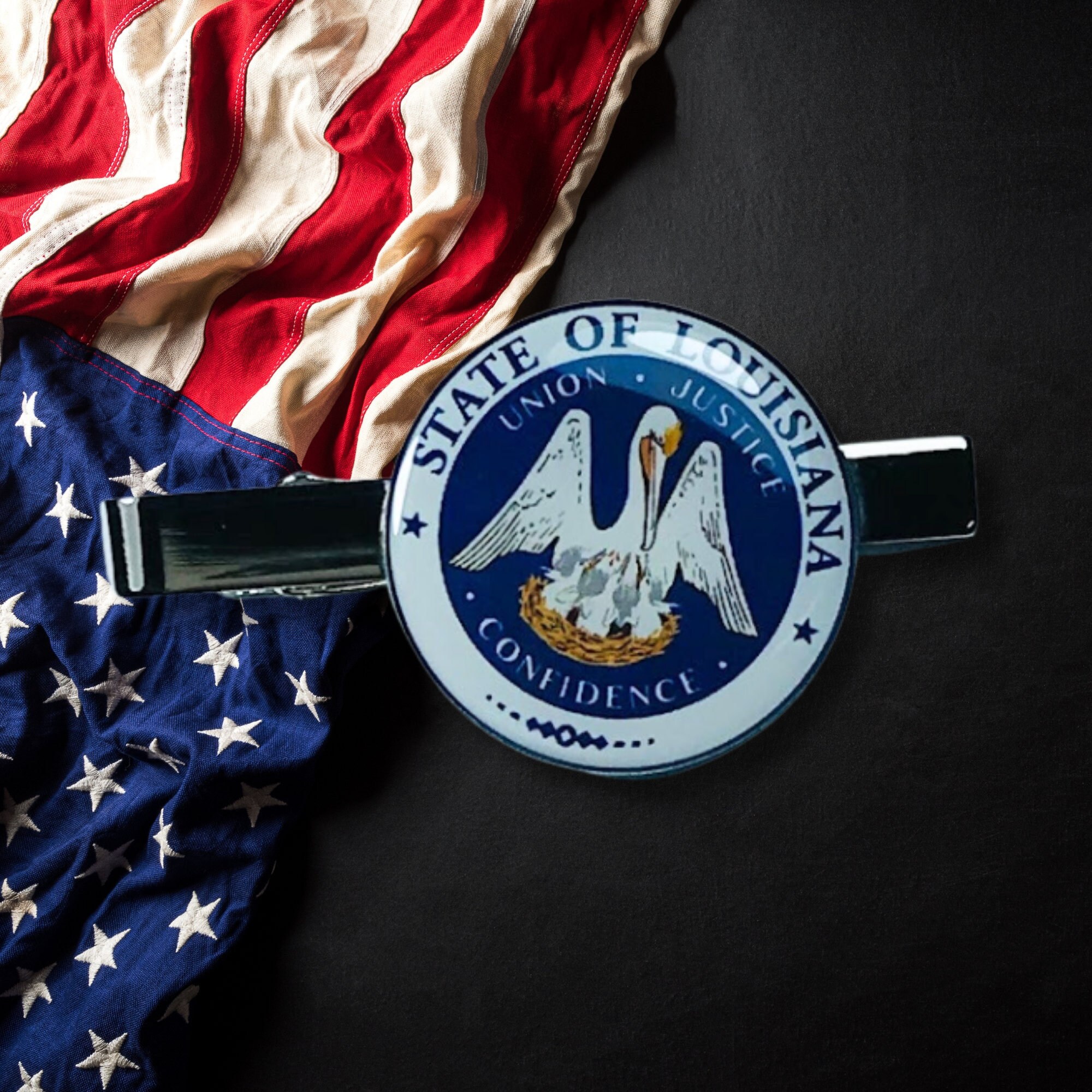 Louisiana Seal Louisiana Tie Bar Collectible Tie Clip Tie - Etsy