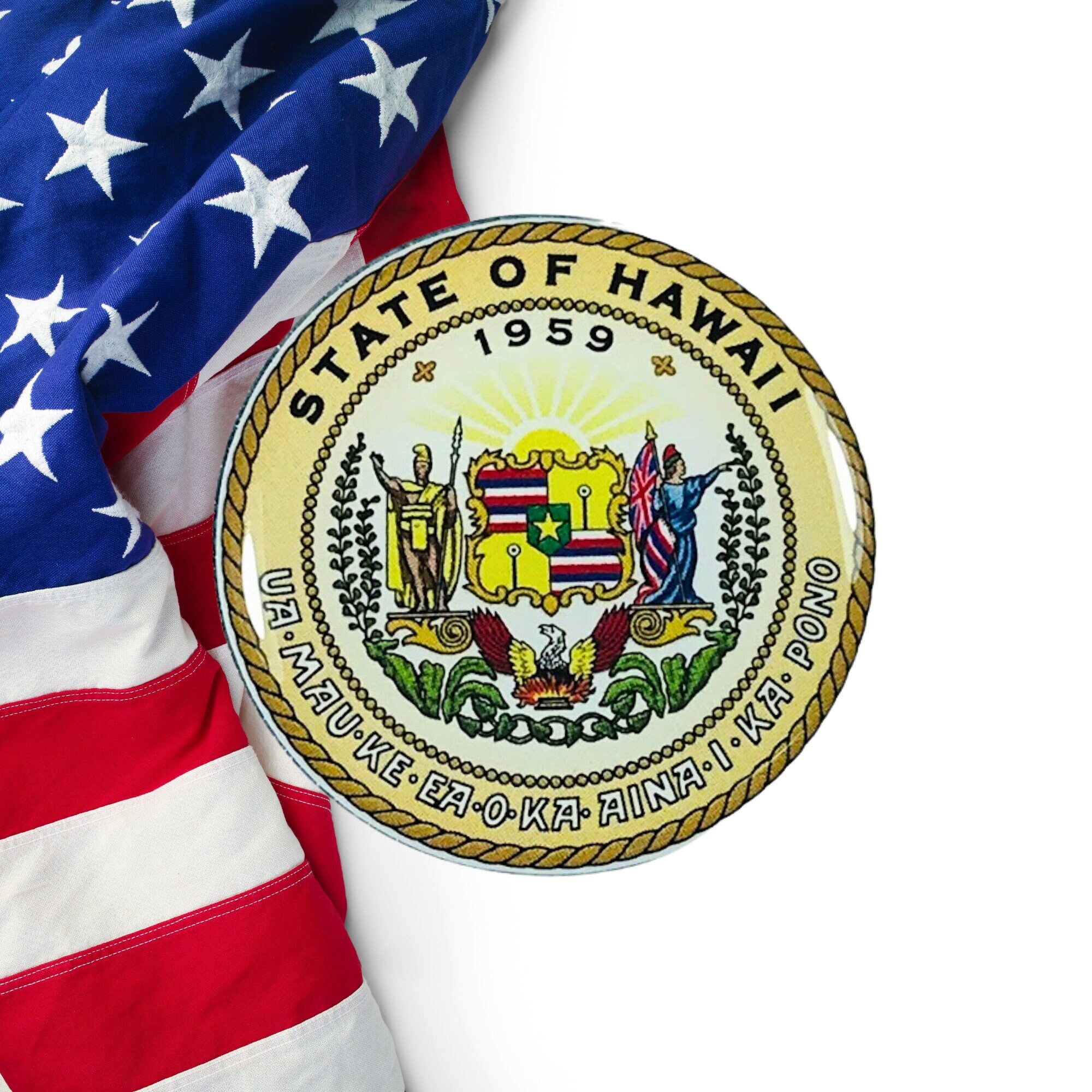 Hawaii Seal State Seal Hawaii Enamel Pin Seal Emblem Pin Etsy