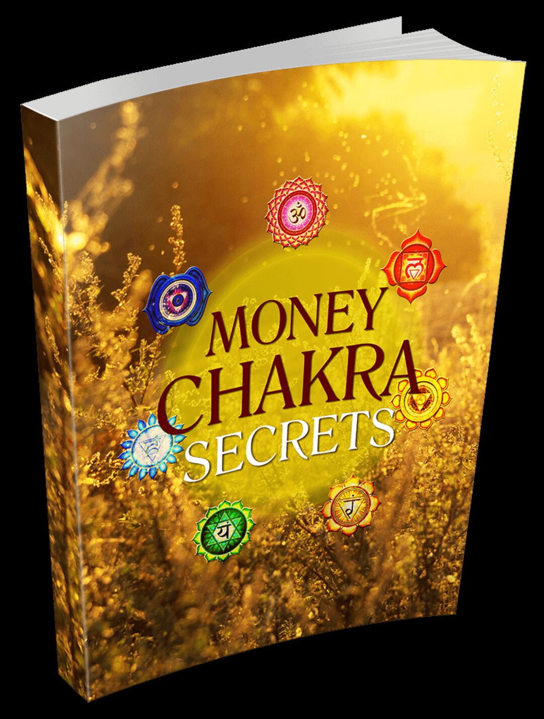 Money Chakra Secrets - Etsy