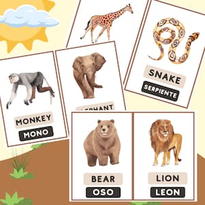 BILINGUAL Flashcards WILD ANIMALS - Great for Learning Another Language ...