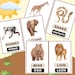 BILINGUAL Flashcards WILD ANIMALS Great for Learning Another Language ...
