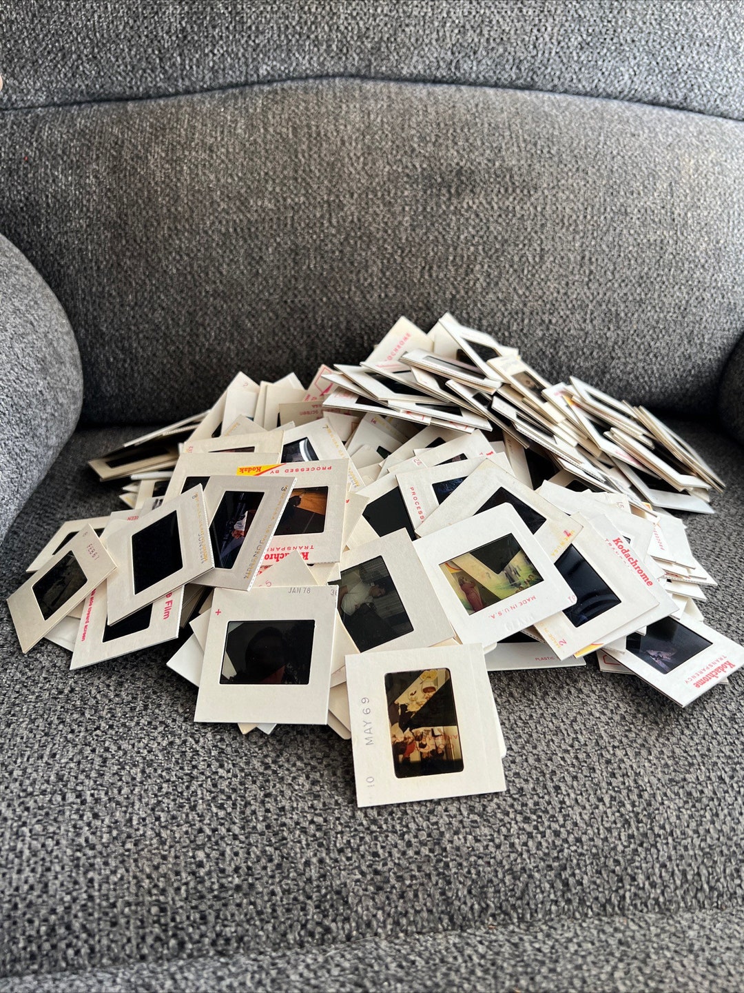 273 Vintage Sears Photo Slides 1960 70s Graduation Pets Nursing Dog ...