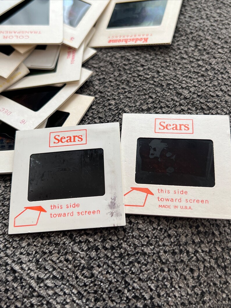 273 Vintage Sears Photo Slides 1960 70s Graduation Pets - Etsy