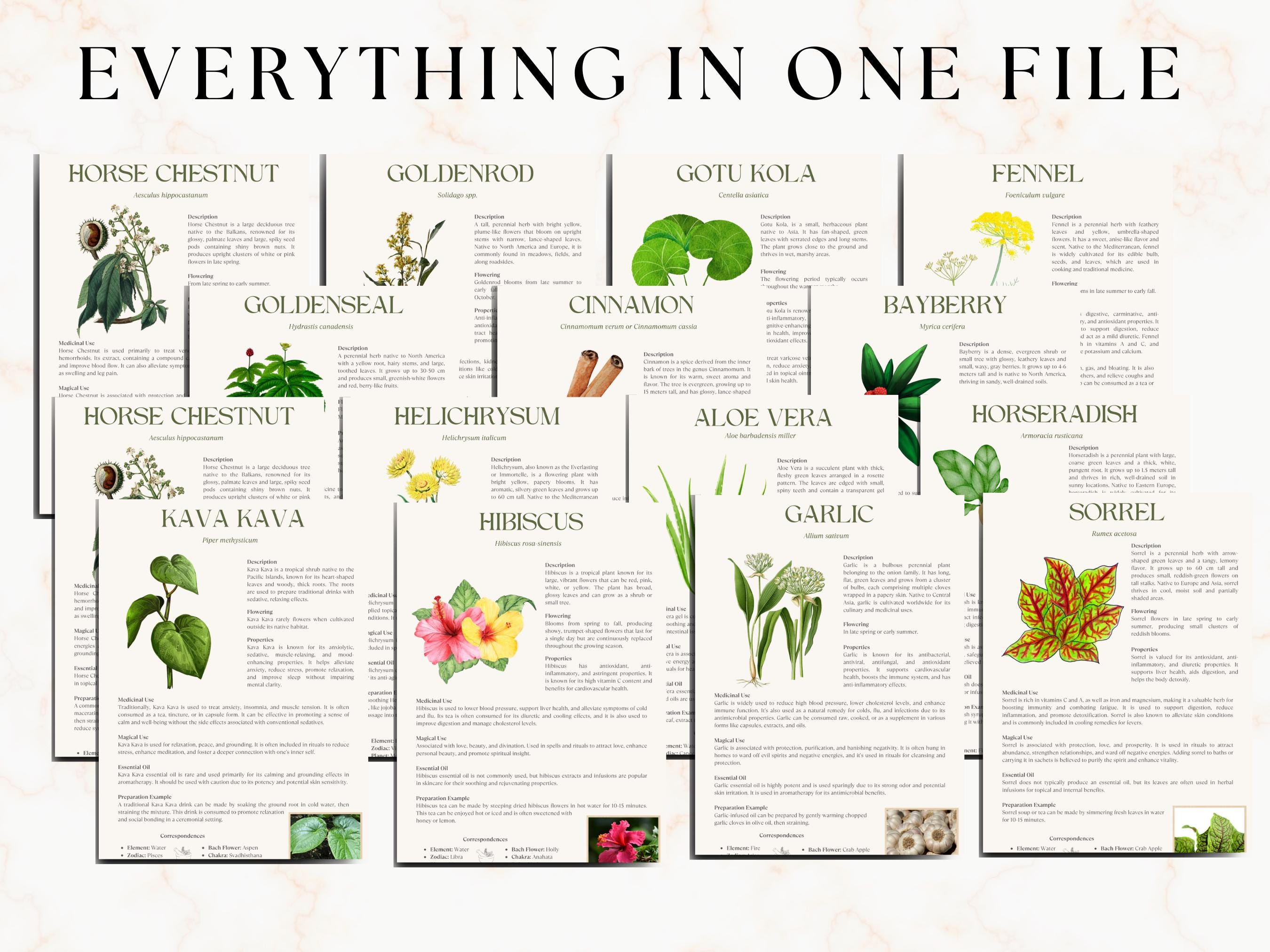 140 Printable Herb Profiles | Botanical Reference | the Herbal Handbook ...