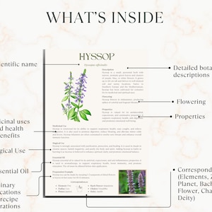 140 Printable Herb Profiles | Botanical Reference | the Herbal Handbook ...