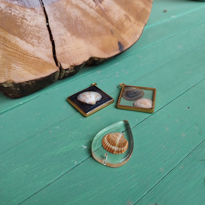 Sea Shell Resin Art - Etsy