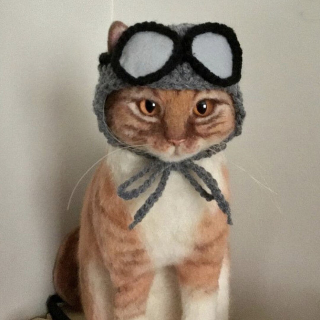 Pilot Hat, Pet Hat, Cat Hat, Halloween, Pet Costume, Cat Costume ...