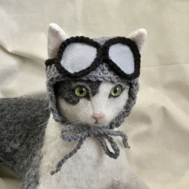 Pilot Hat, Pet Hat, Cat Hat, Halloween, Pet Costume, Cat Costume ...
