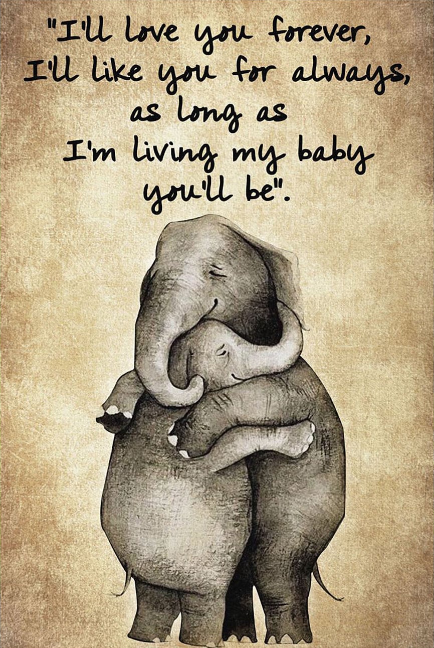 Elephant Lover Quotes