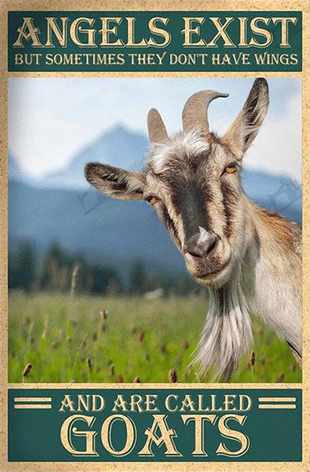 Angels Exist but Sometimes They Don’t Have Wings and Are Called Goats ...