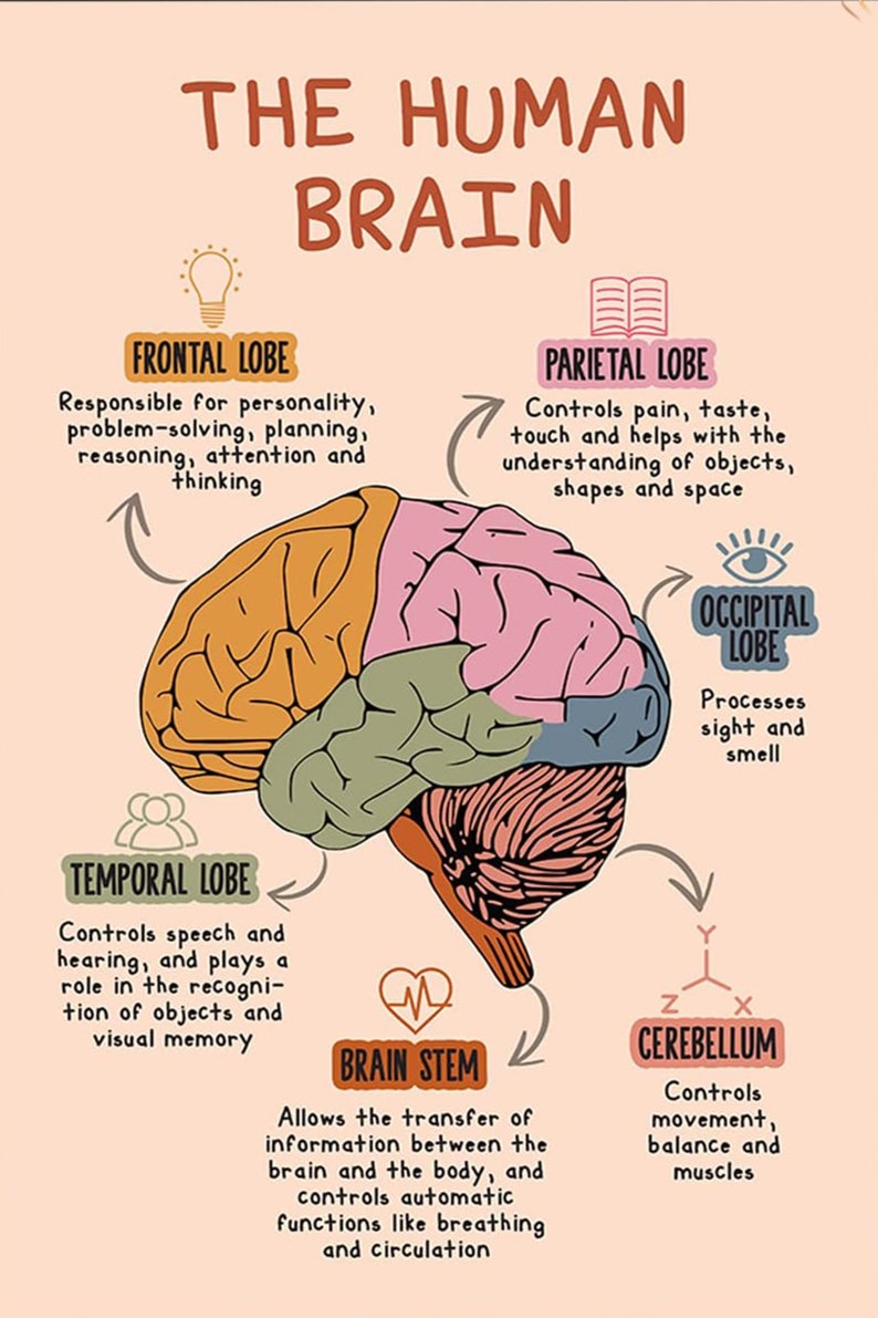 Brain Poster, Psychology Office Decor , Mental Health Poster for ...