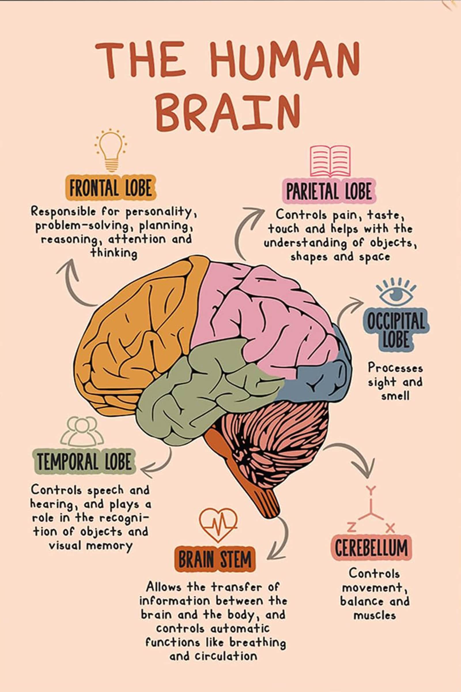 Brain Poster, Psychology Office Decor , Mental Health Poster for ...