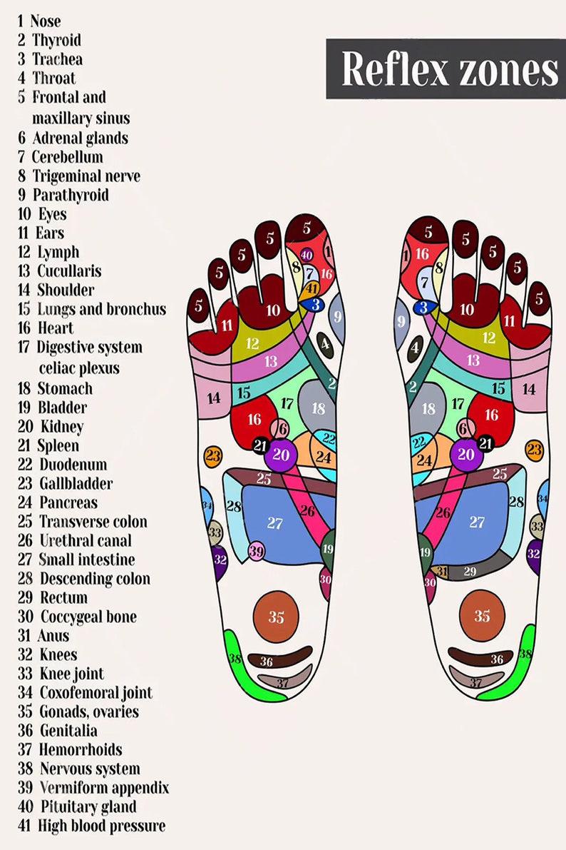 Acupuncture Points on the Feet, the Reflex Zones on the Feet ...