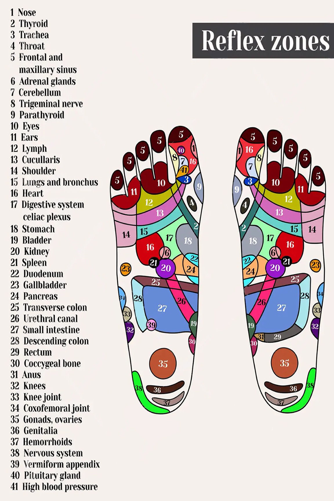 Foot Acupuncture Points