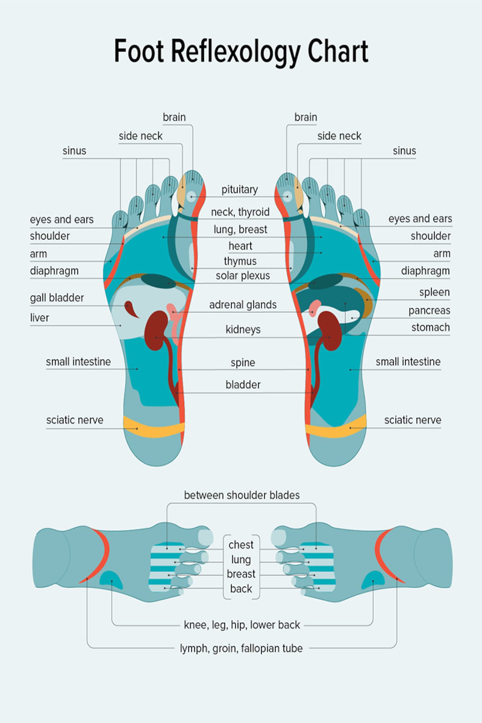 Reflexology Foot Massage, Pressure Points in Your Feet Poster, Foot ...