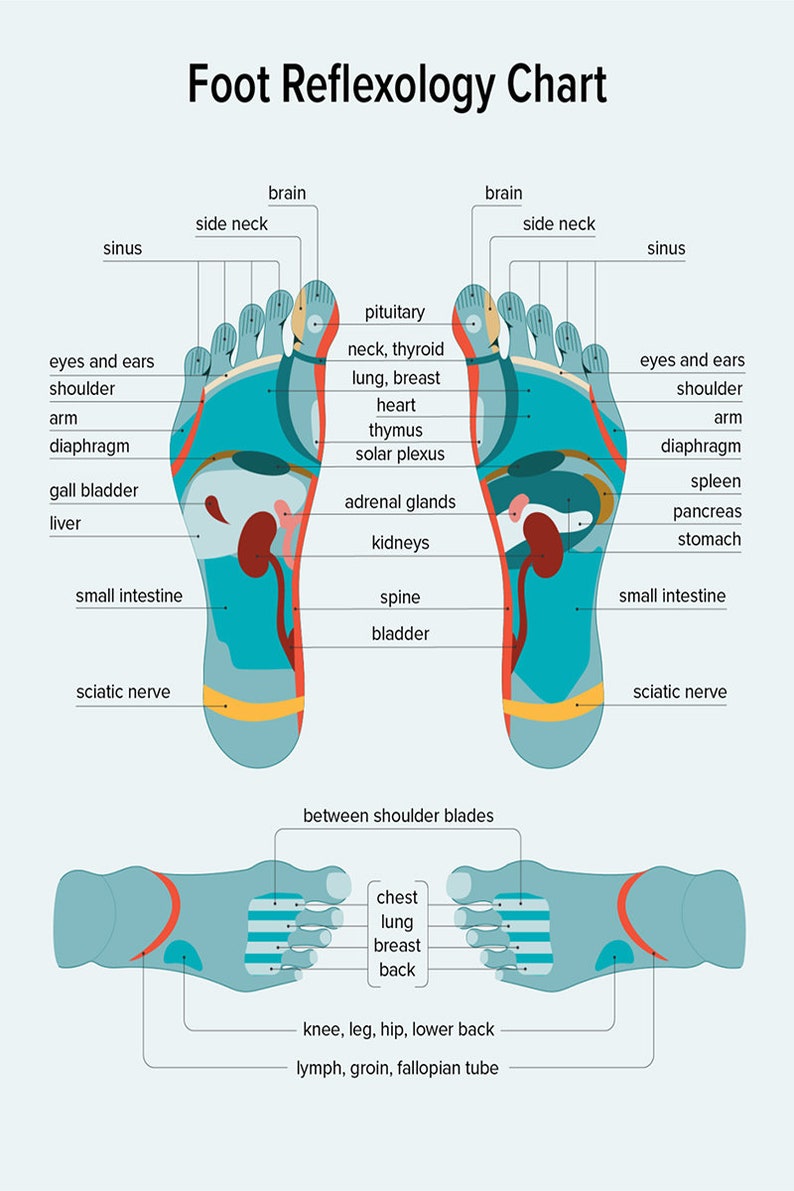 Reflexology Foot Massage, Pressure Points in Your Feet Poster, Foot ...