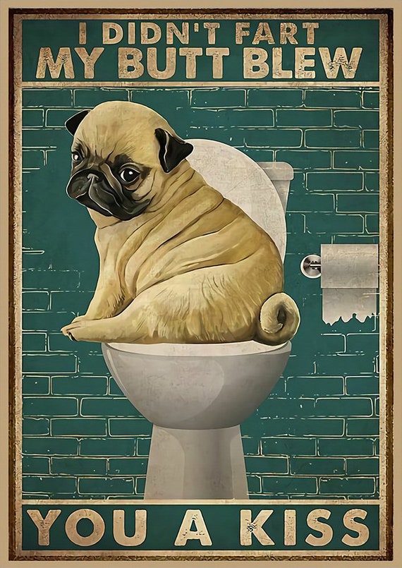 Sonic Characters Pug Dog
