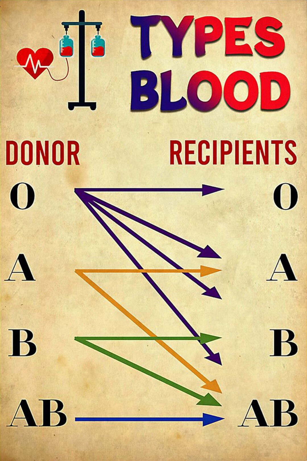 Types Blood Donor Recipients Paramedic Community Print Poster Wall Art ...