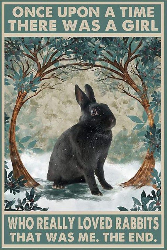 Rabbits Once Upon a Time a Girl Really Loved Rabbits Poster - Etsy