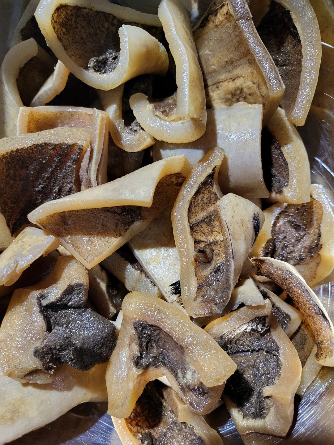 White Ponomo 10pcs Cow Skin Beef Part White PONMO Helthy. - Etsy