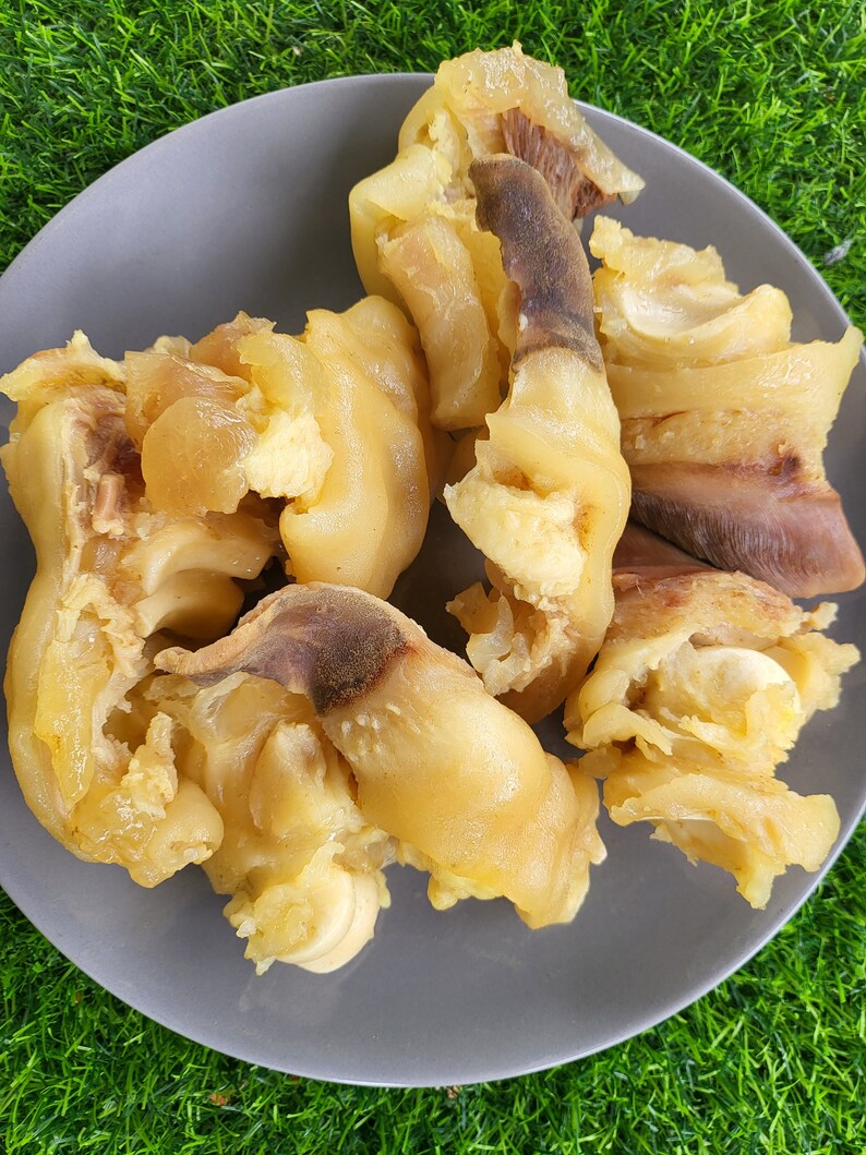 Cow Feet boneless & Bokoto Cow Led1 Pieces - Etsy