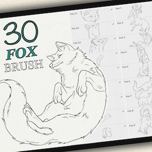 30 FOX BRUSH for Procreate / Clip Studio Paint / Photoshop (collection ...