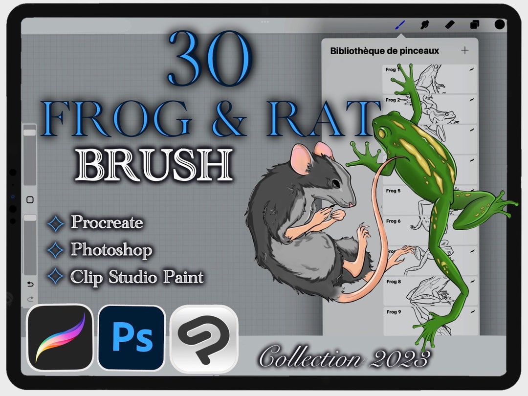 30 FROG & RAT Brush for Procreate / Photoshop / Clip Studio - Etsy