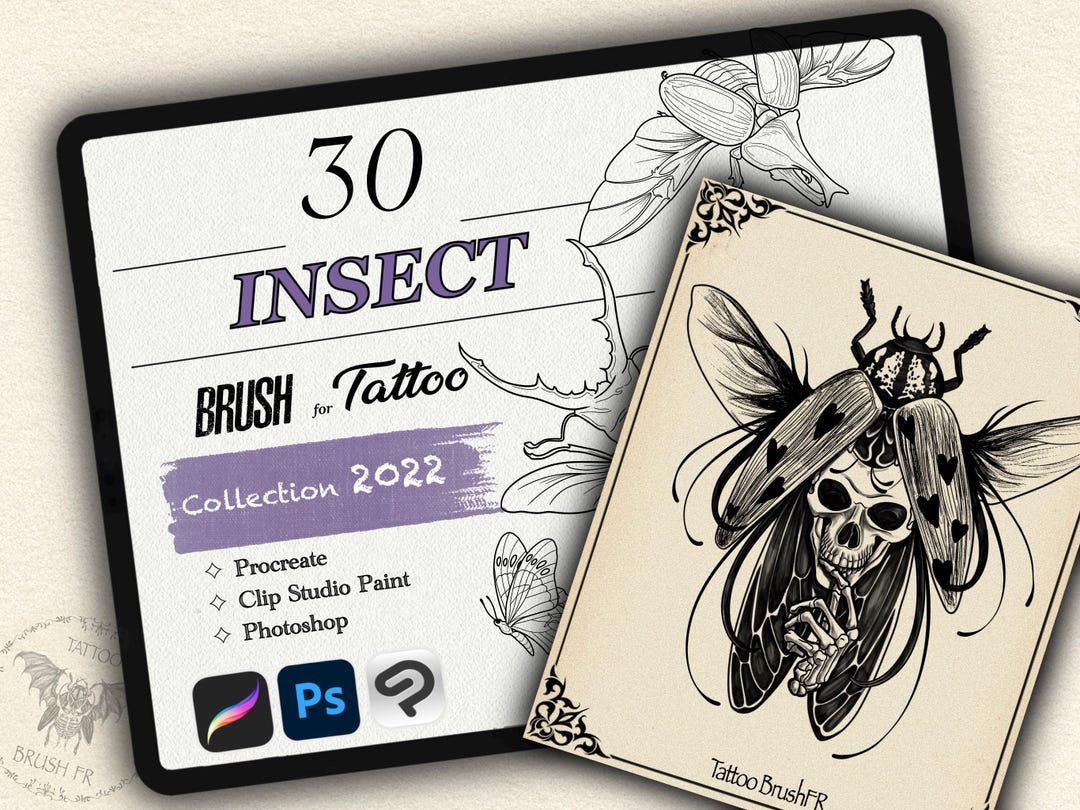 30 INSECT BRUSH for Procreate / Photoshop / Clip Studio Paint (2022 ...