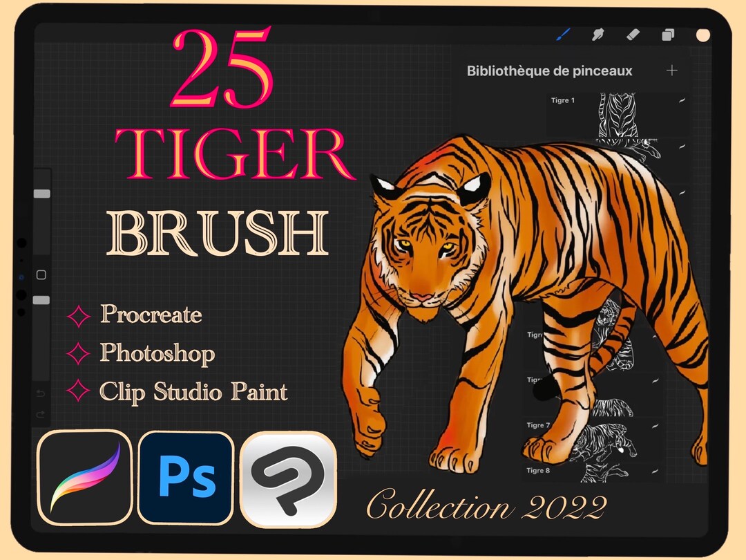 25 TIGER BRUSH for Procreate / Photoshop / Clip (Instant Download) - Etsy