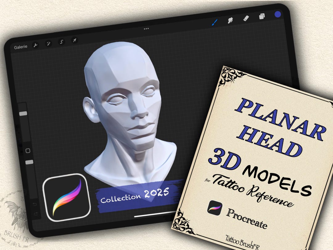 PLANAR HEAD 3D MODELS for Procreate – Tattoo & Drawing Reference ...