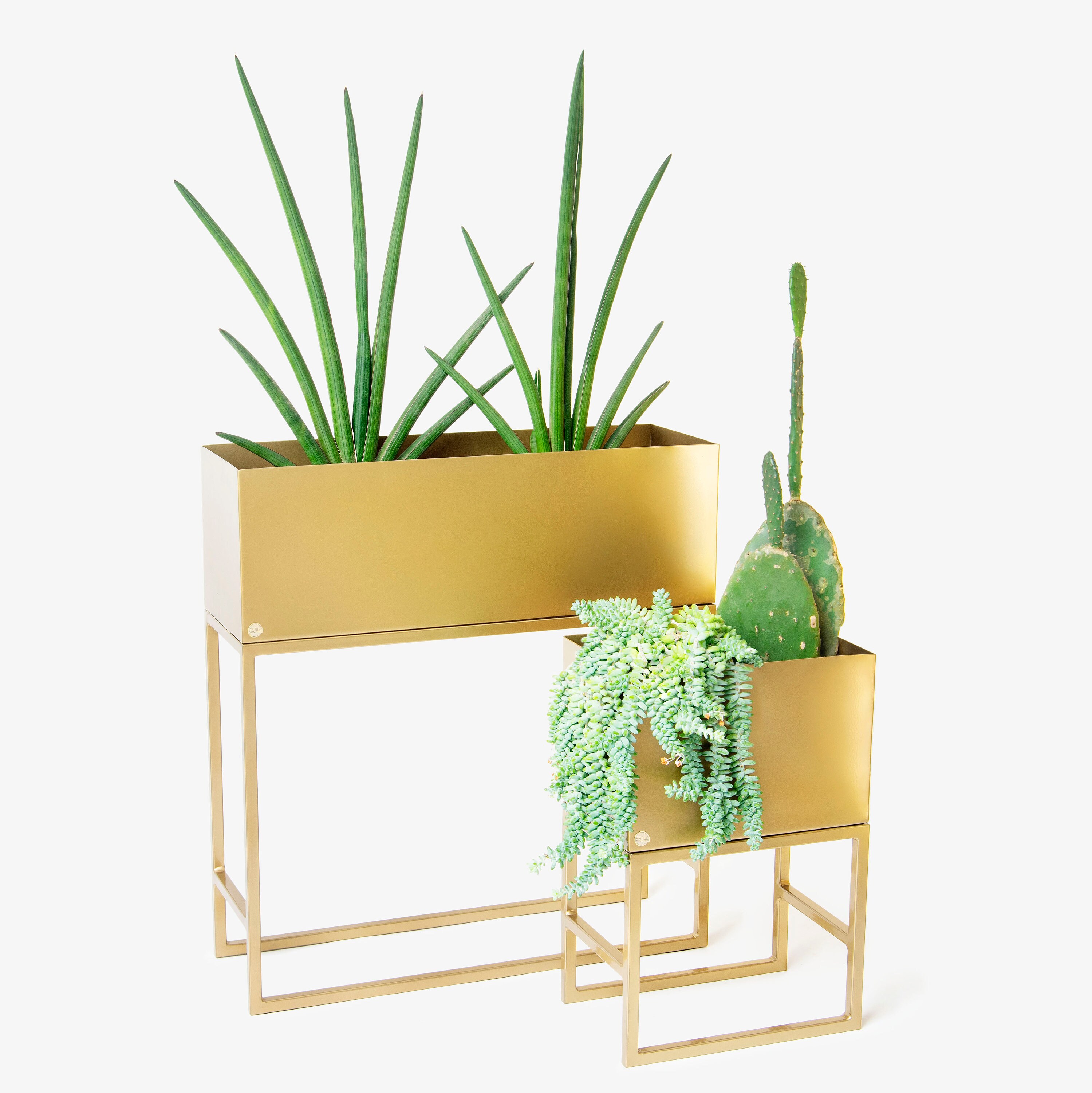 Modern Metal Steel Plant Box Flower Box Plant Rack Tall Plant Holder ...