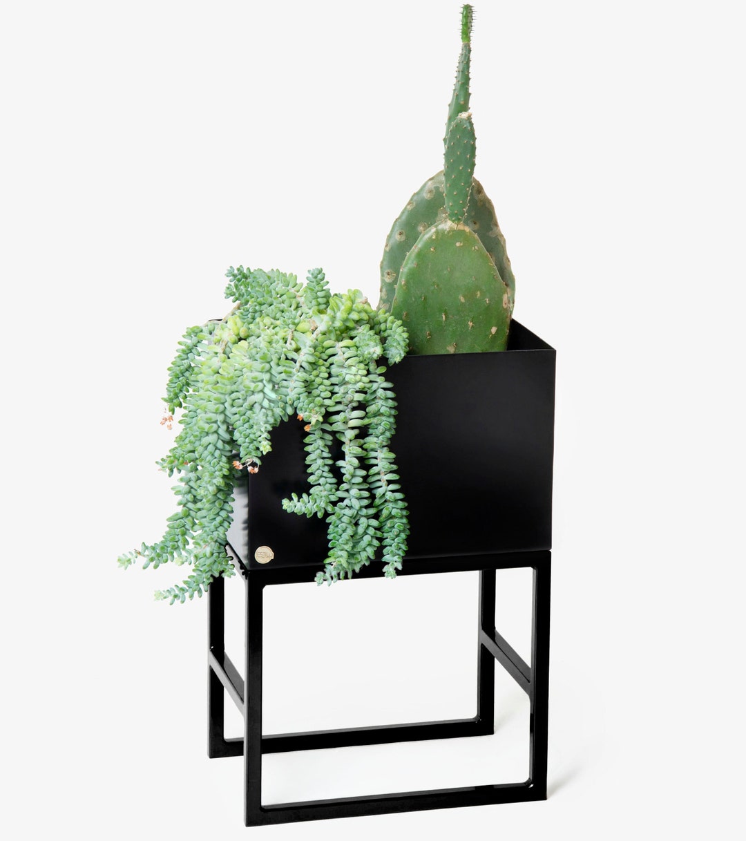 Modern Metal Steel Plant Box Flower Box Plant Rack Tall Plant Holder ...