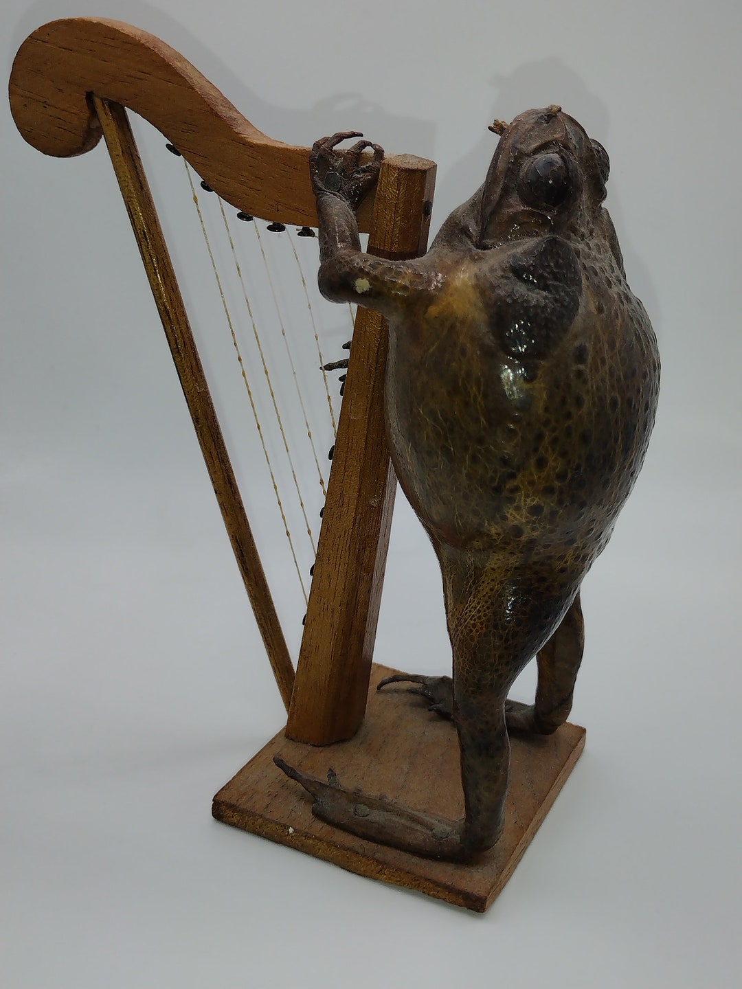 Funny Taxidermy Toad in a Shape of a Musician Playing Harp. - Etsy