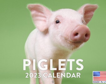 2023 Pig Calendar - Etsy