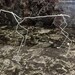 Animal Wire Armature / Needle / Felt / Mouse / Badger / Hare / Fox ...