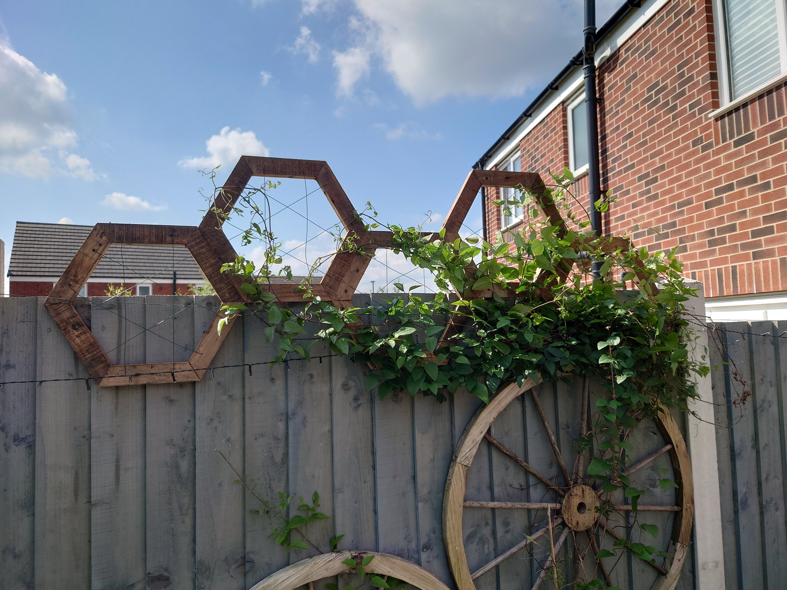 Trellis Fence Topper - Etsy UK