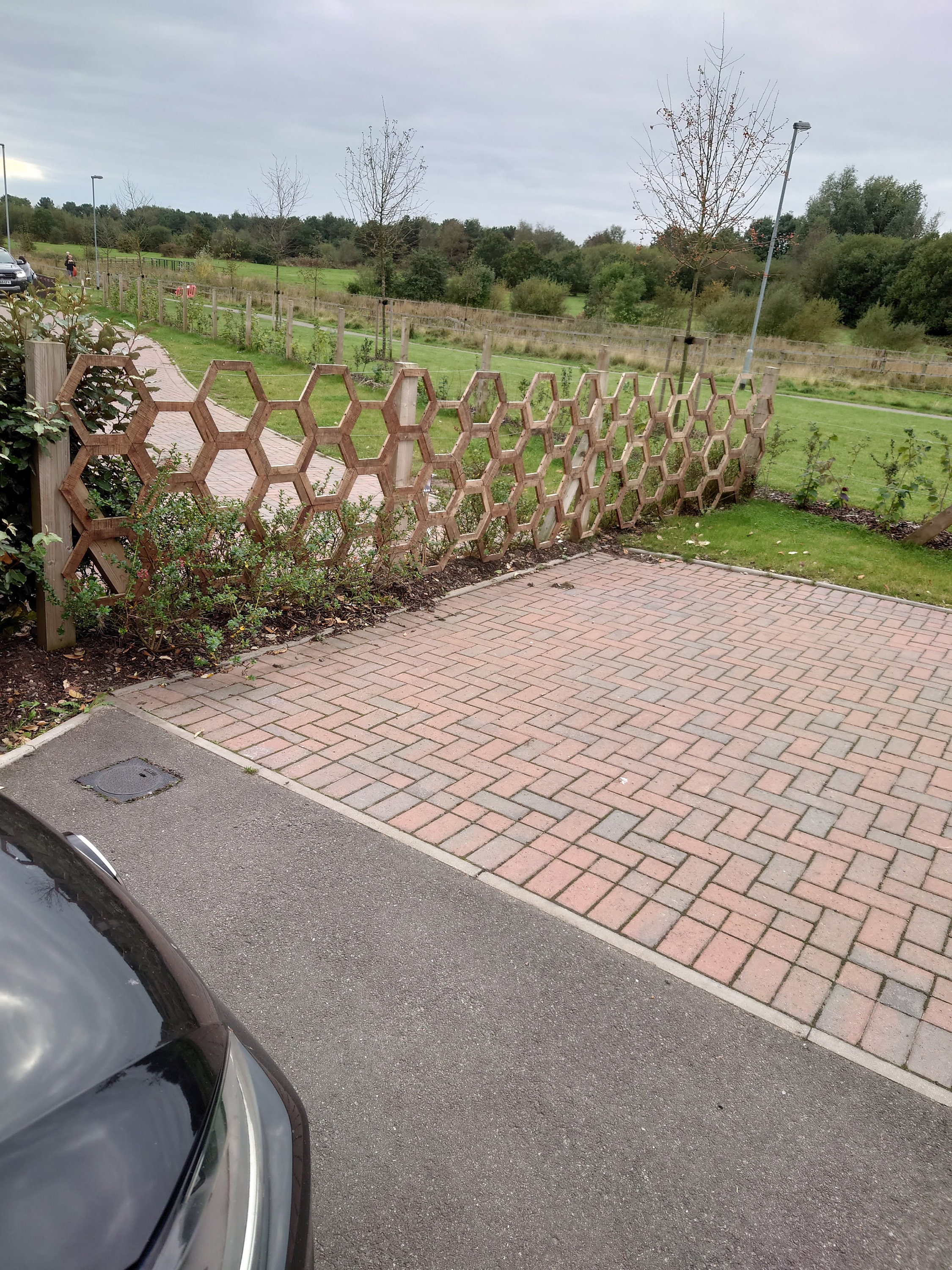 Repurposed Wood, Honeycomb Trellis, Hexagonal, Garden Decoration - Etsy