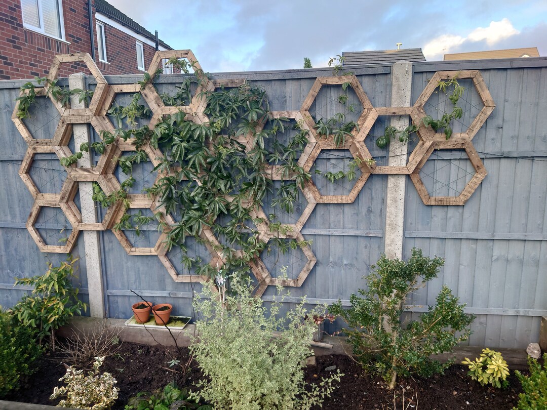 Repurposed Wood, Honeycomb Trellis, Hexagonal, Garden Decoration - Etsy