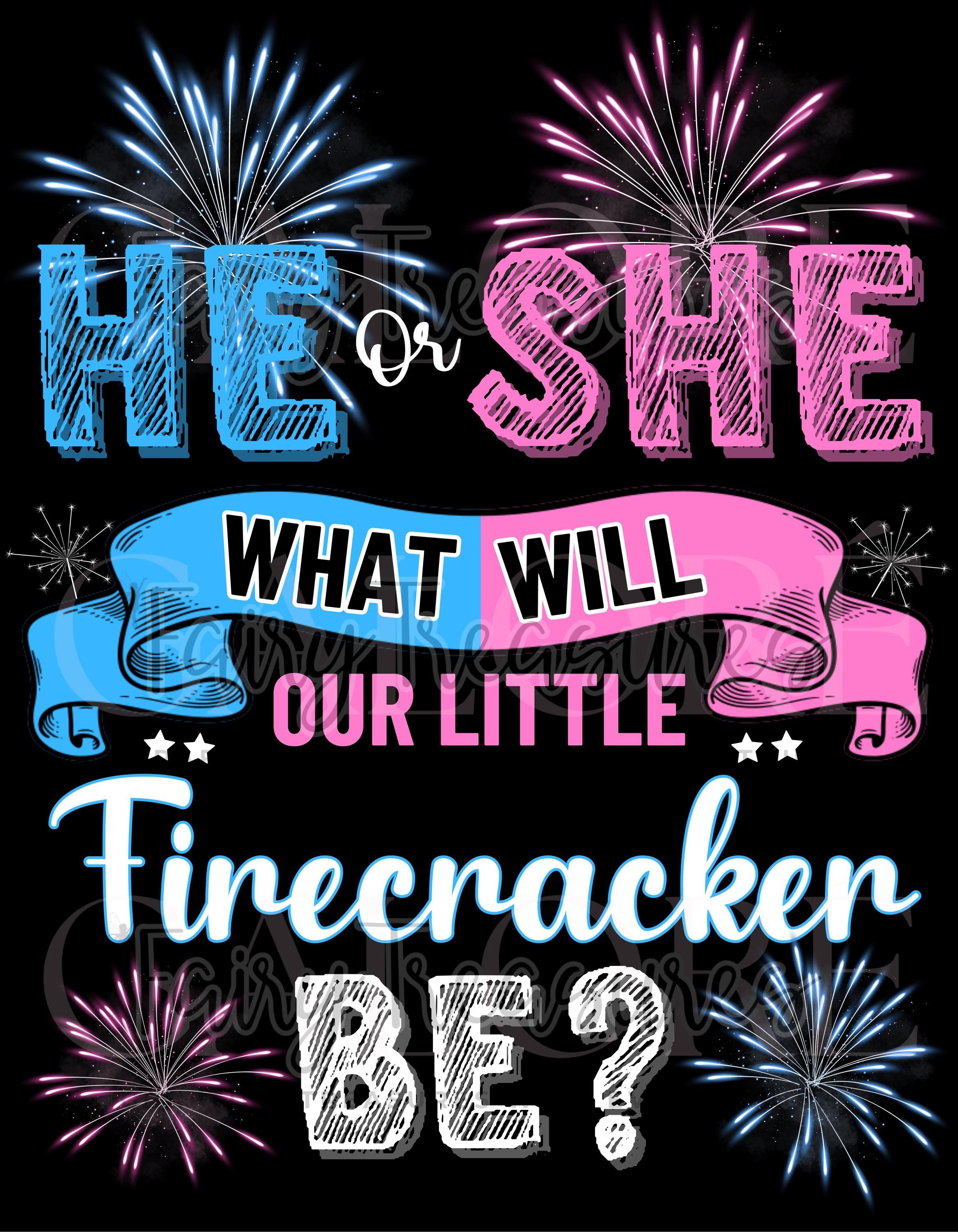 Firework Gender Reveal PNG - Etsy