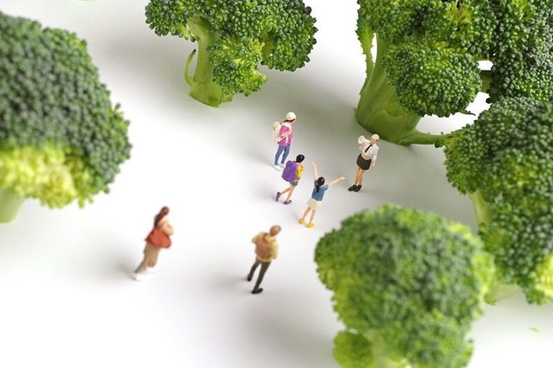 Modellerkunst/1:87 Miniature Model/creative Scene/macro Shots ...