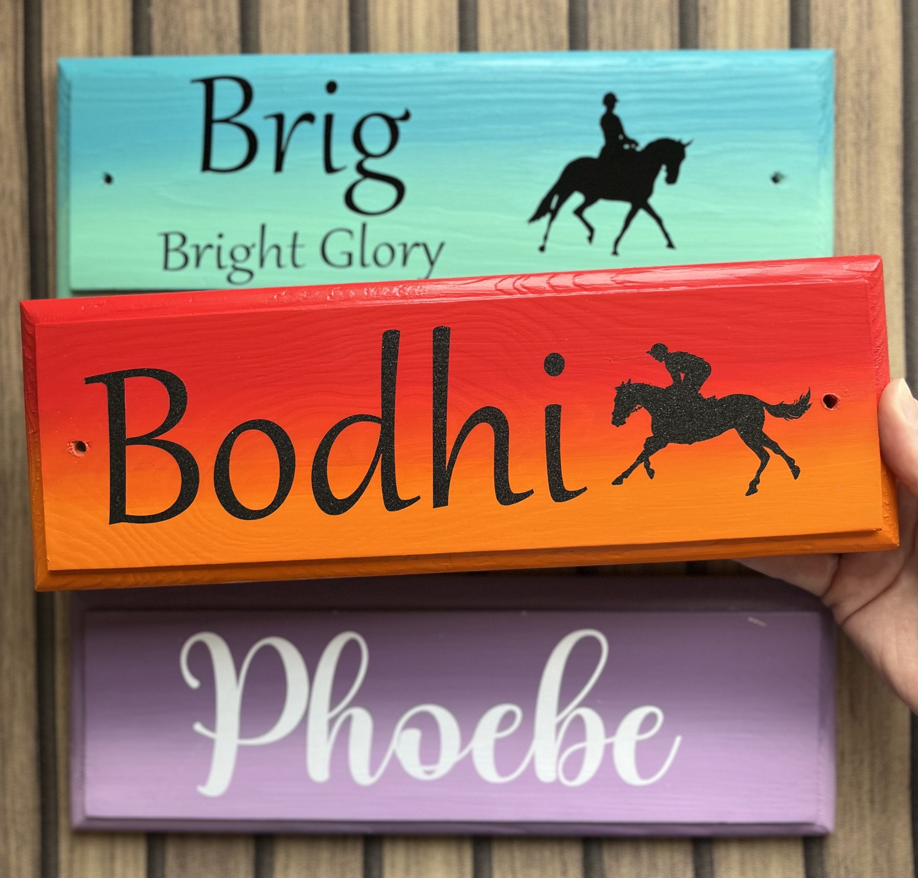 Stable Name Plaques Stable Name Plates Stable Name Signs - Etsy UK