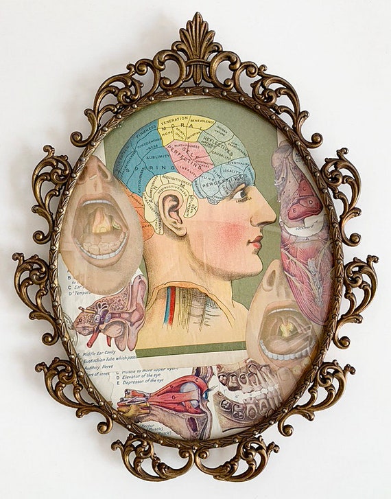 Medical Themed Collage - Etsy