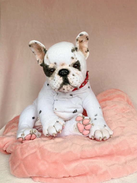 Toy French Bulldog