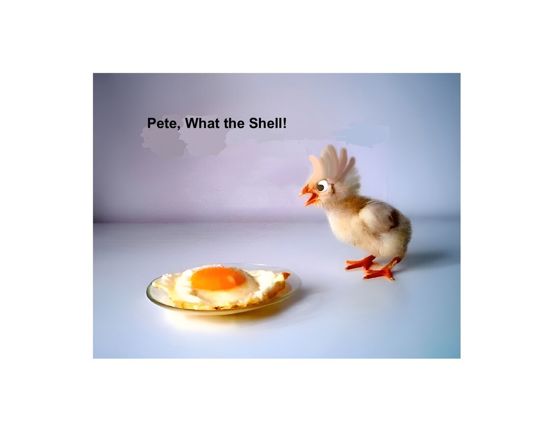 Peety Magnet, Sticker, Iron-on, Cute, Vinyl, Gifts for Mom - Etsy